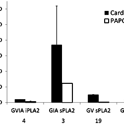 Comparison of PLA2 activities.