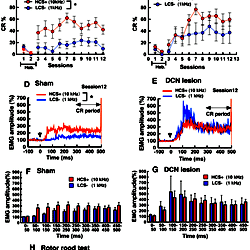 Results in the two-tone discrimination task of eyeblink conditioning ...