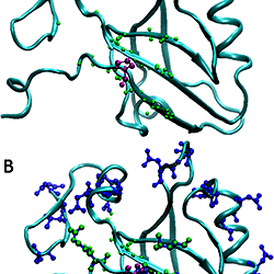Selection process for finding pathways.