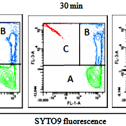 Flow cytometric SYTO 9 (FL1)/PI (FL3) dot plots presenting pH-dependent ...