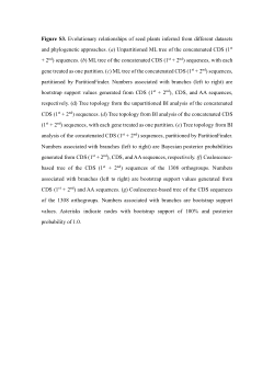 Figure S3 from Phylogenomics resolves the deep phylogeny of seed plants ...