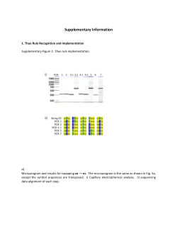 King_information.pdf from Computing exponentially faster: implementing a non-deterministic ...