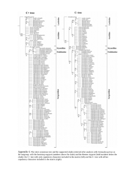 Appendix 6 from The shrimp superfamily Sergestoidea: a global phylogeny ...