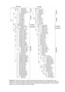 Appendix 5. from The shrimp superfamily Sergestoidea: a global ...