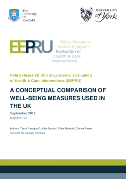 A conceptual comparison of well-being measures used in the UK