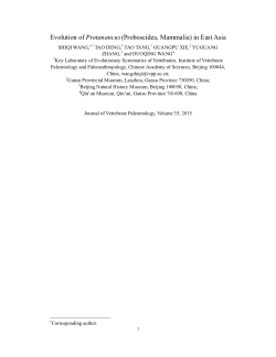 Evolution of Protanancus (Proboscidea, Mammalia) in East Asia