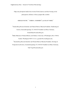 Oligocene plotopterid skulls from western North America and their ...