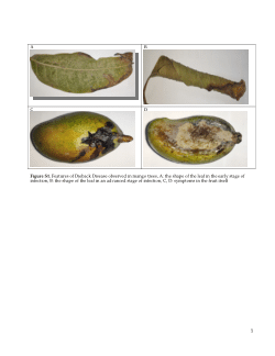 Supplementary material: Metagenomic nanopore sequencing versus ...