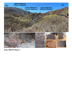 Oligocene magmato-tectonic events influential in the development of Pb ...