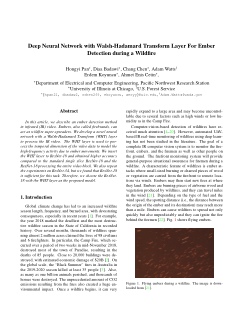 Deep Neural Network with Walsh-Hadamard Transform Layer For Ember Detection during a Wildfire