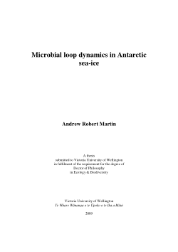 Microbial Loop Dynamics in Antarctic Sea-Ice