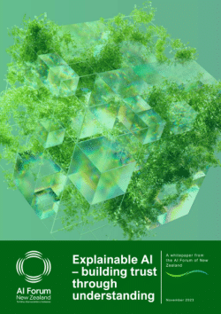 Explainable AI – building trust through understanding