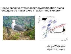 Dataset for: Clade-specific evolutionary diversification along ...