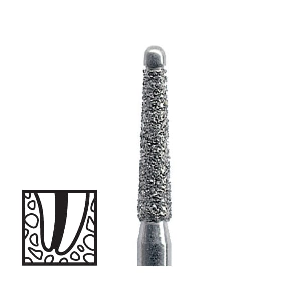 Diamond Endo Z Burs at Eden Gleeson blog