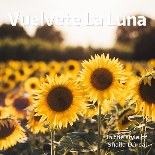 Shaila Dúrcal - Vuelvete La Luna Karaoke | Singa