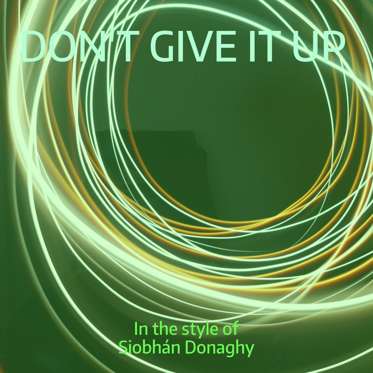 Siobhán Donaghy - Don't Give It Up Karaoke | Singa