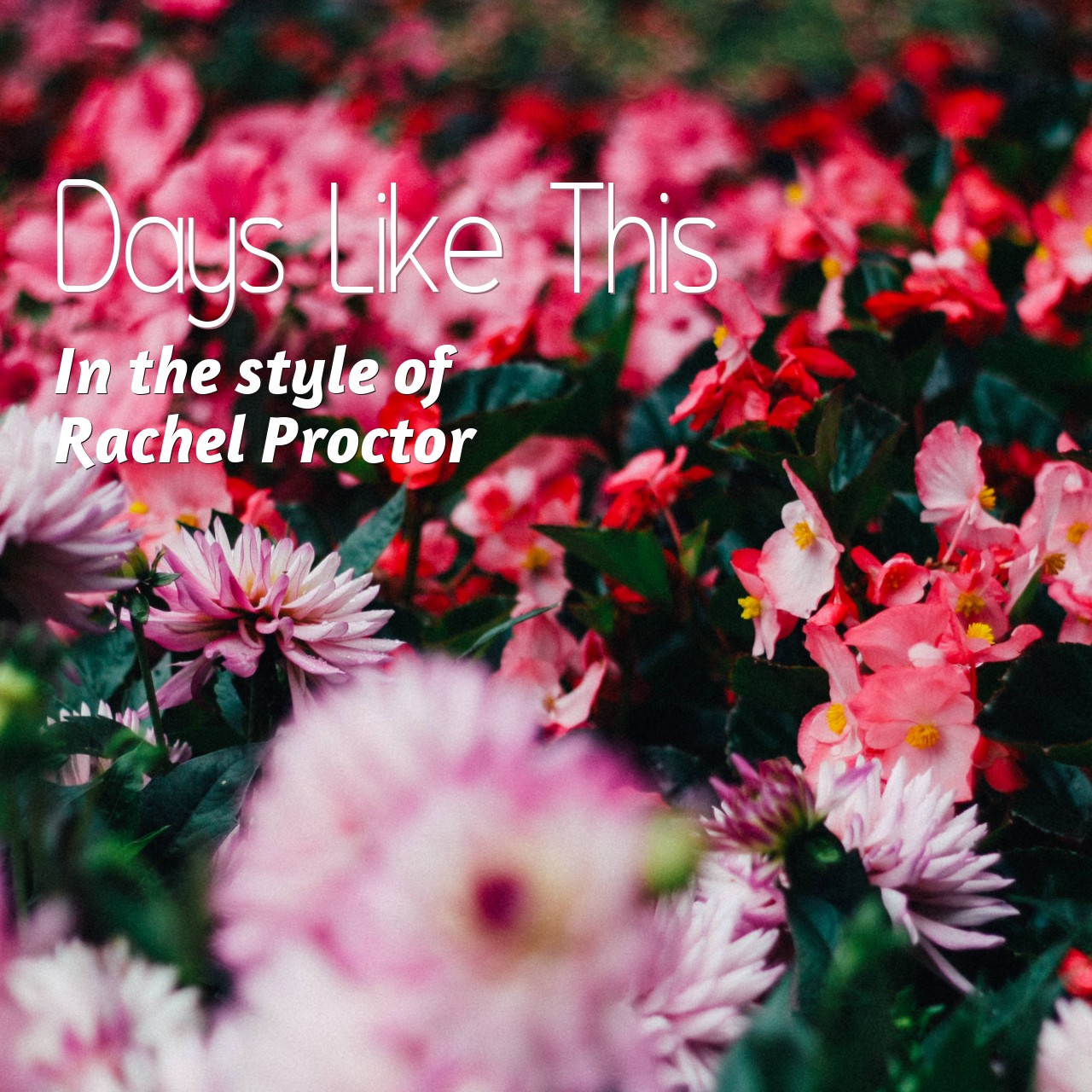 Rachel Proctor | Singa