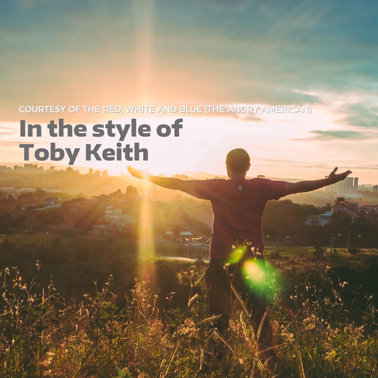 Toby Keith - Courtesy of the Red, White and Blue (The Angry American ...