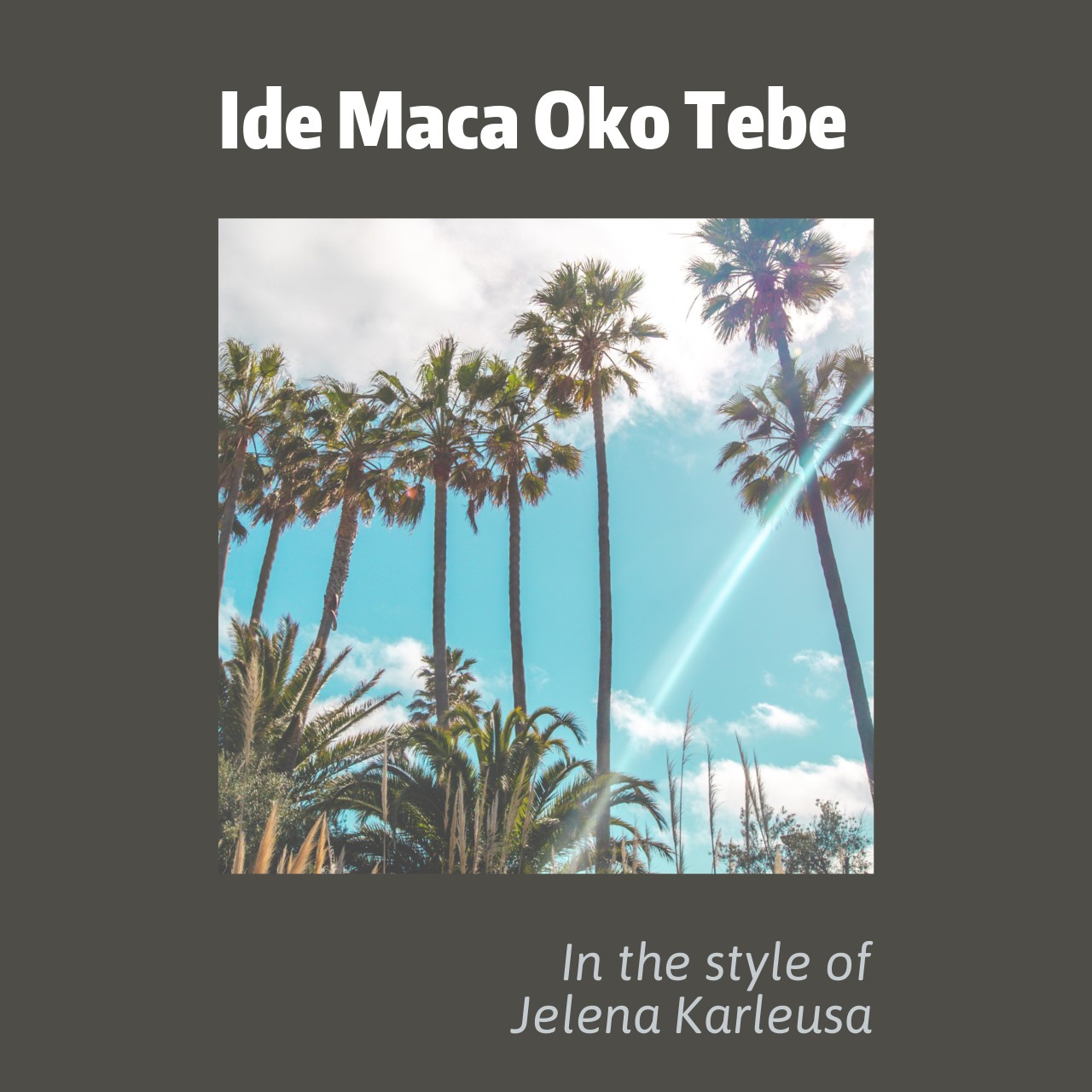 Jelena Karleusa - Ide Maca Oko Tebe Karaoke | Singa