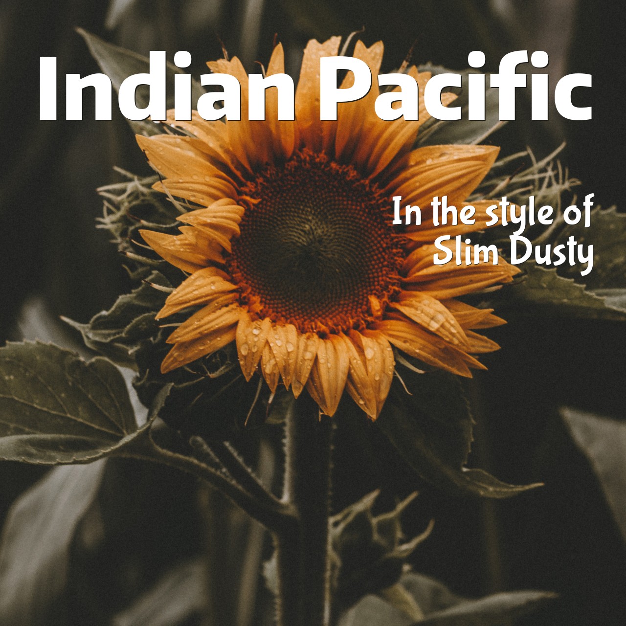 Slim Dusty - Indian Pacific Karaoke | Singa