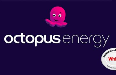 Octopus Energy Review - Which?