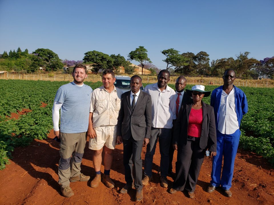 Meet CBA Sementes: Seed Potato-Growing Aeroponic Systems