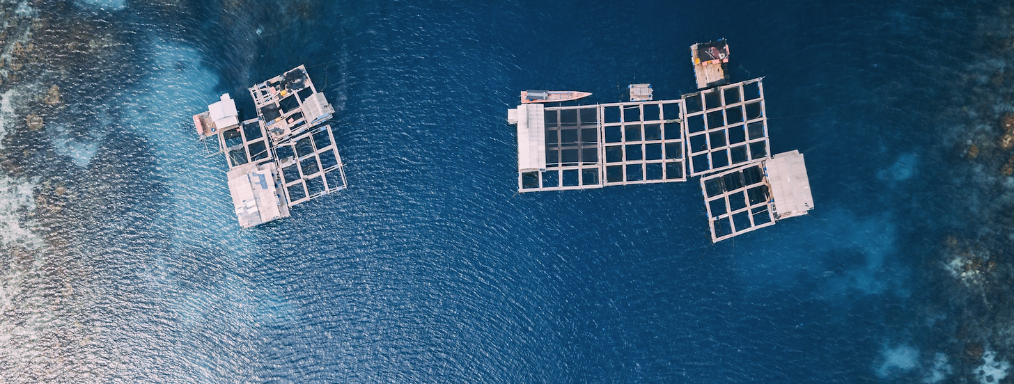 Sustainable Solutions for Aquaculture with SyntheSea