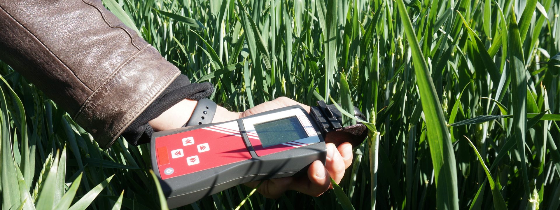 Meet Smart Agrometer: Crop Diagnostics Device to Balance Plant Nutrition