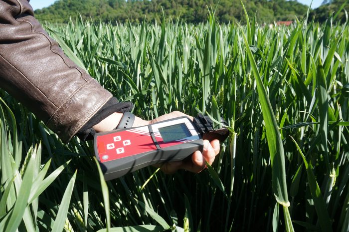 Meet Smart Agrometer: Crop Diagnostics Device to Balance Plant Nutrition