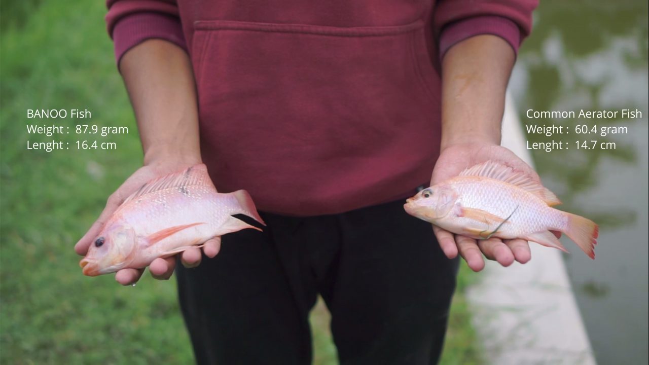 Investing in Water to Relieve Hunger: Filling the Gaps with Banoo ...