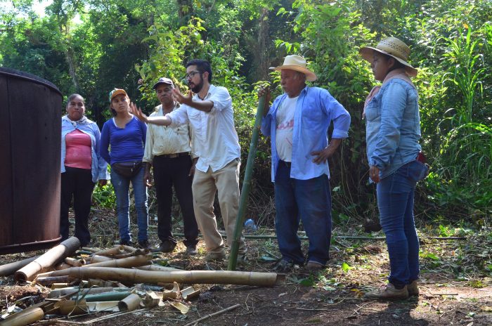 Meet Húmica: A Mexican Startup on a Mission to Solve Climate Change by ...