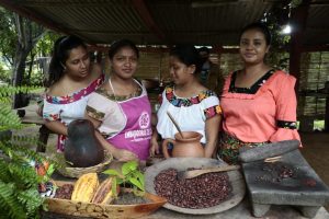 Meet Húmica: A Mexican Startup on a Mission to Solve Climate Change by ...