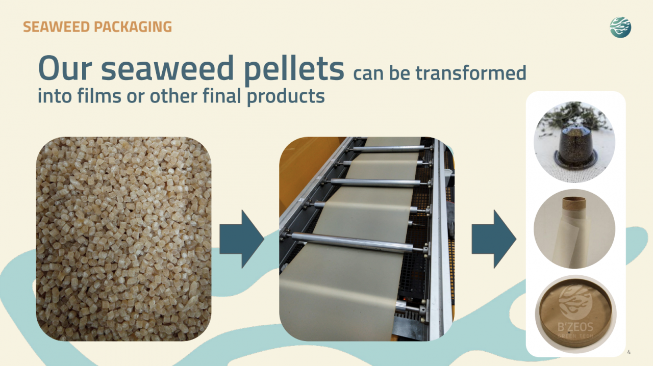 B’ZEOS: A Norwegian startup developing regenerative seaweed-based ...