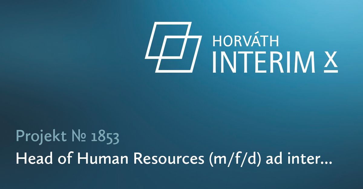 Head of Human Resources (m/f/d) ad interim | Establishing and Leading ...