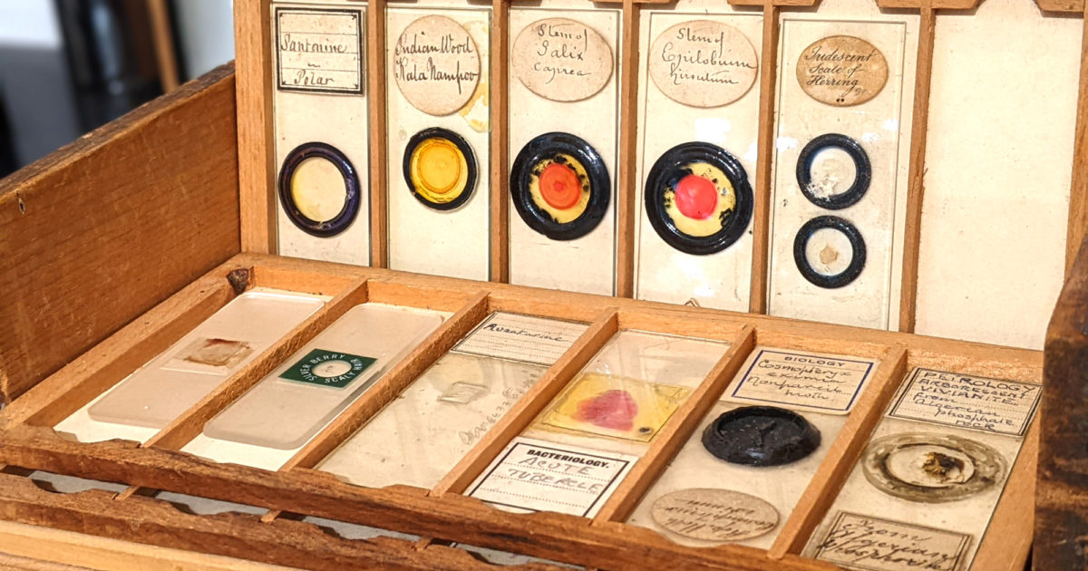 U32 34x Victorian Microscope Slides in Wooden Box 50 _01