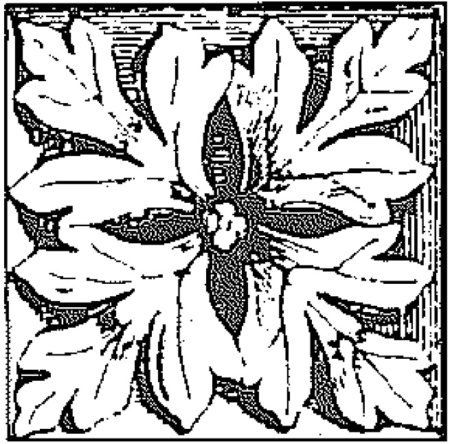 Peter Slinger Chartered Architect