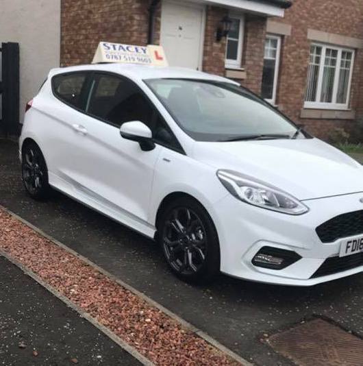 robin driving instructor