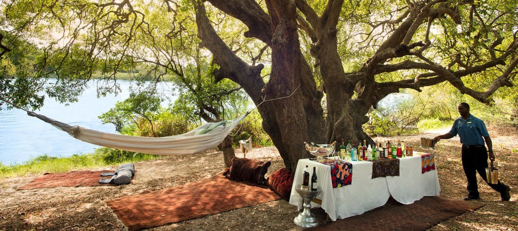 The Manketti – Zambia’s most useful tree