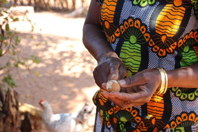 Nuts about the Mongongo ~ Local Zambian Flavours - The Royal Chundu ...