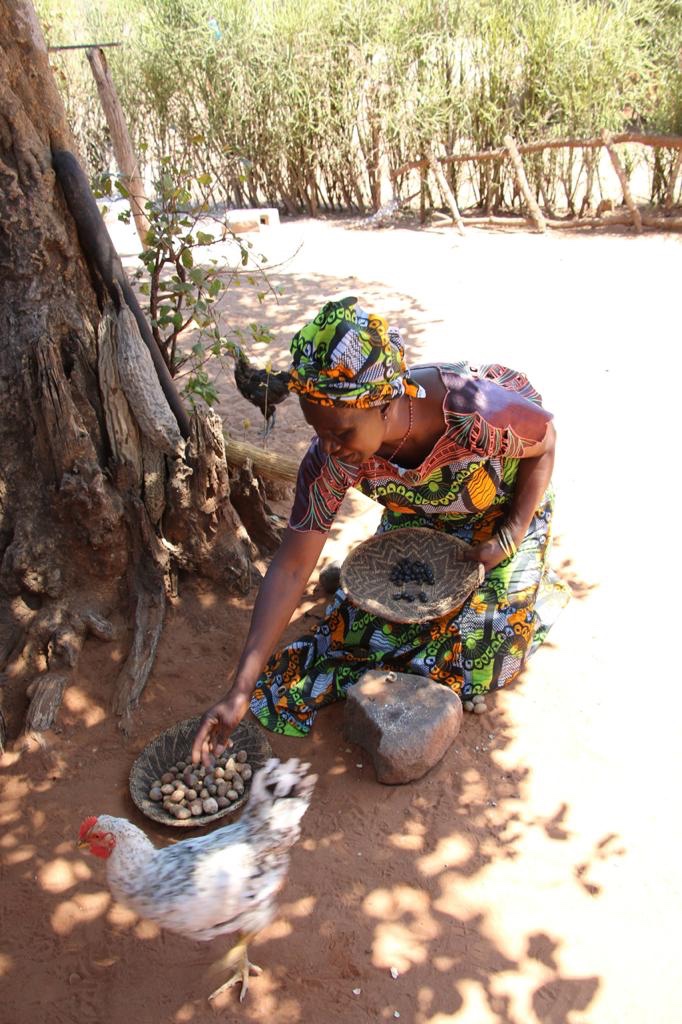 Nuts about the Mongongo ~ Local Zambian Flavours - The Royal Chundu ...
