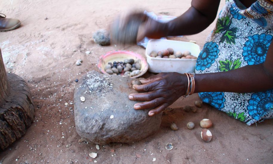 Nuts about the Mongongo ~ Local Zambian Flavours - The Royal Chundu ...