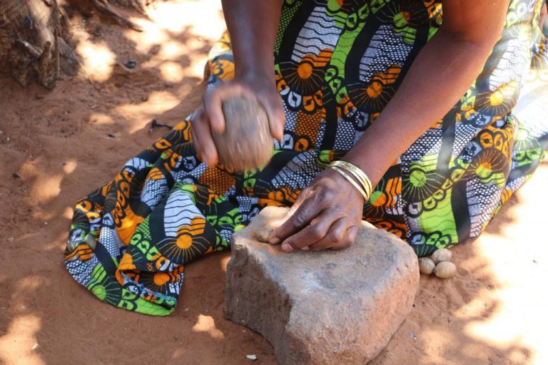 Nuts about the Mongongo ~ Local Zambian Flavours - The Royal Chundu ...