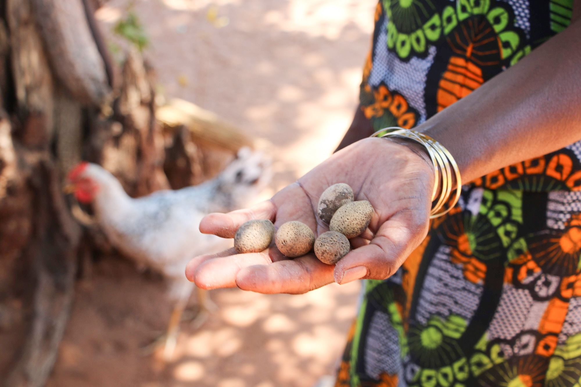 Nuts about the Mongongo ~ Local Zambian Flavours - The Royal Chundu ...