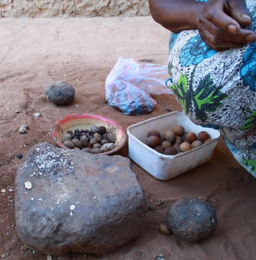 Nuts about the Mongongo ~ Local Zambian Flavours - The Royal Chundu ...
