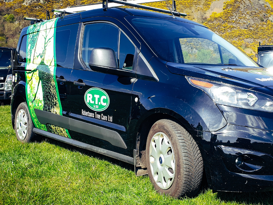 robertsons tree care