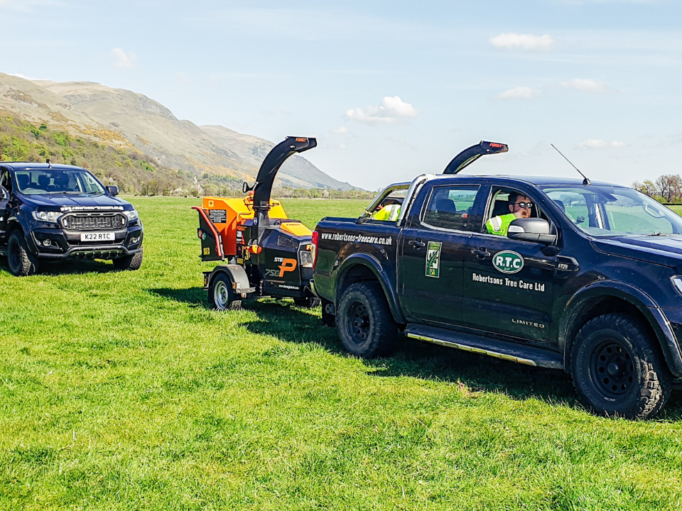 robertsons tree care