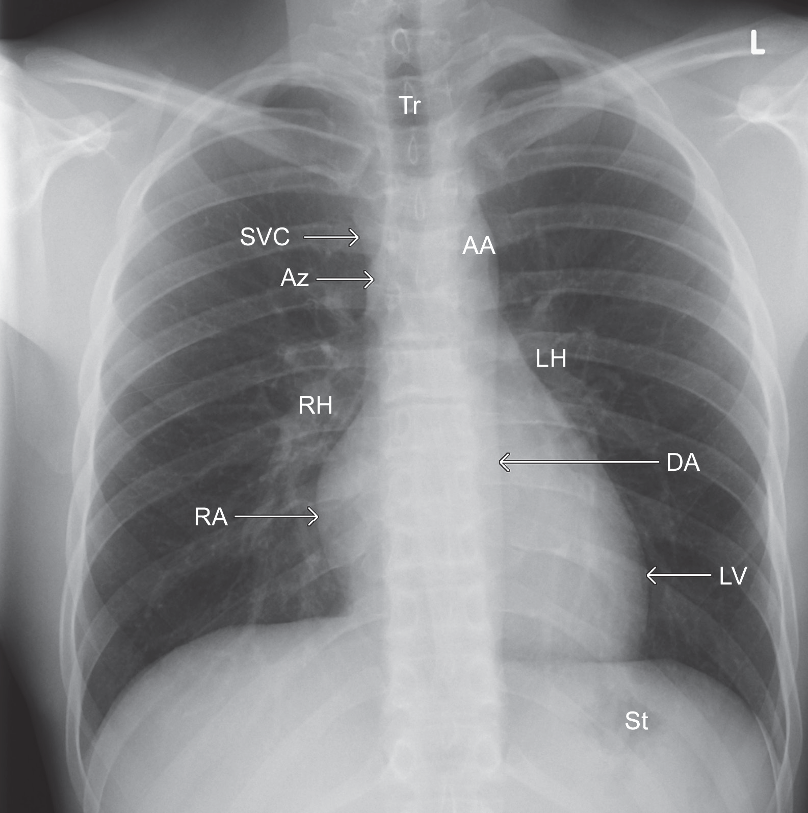 Imaging for Students