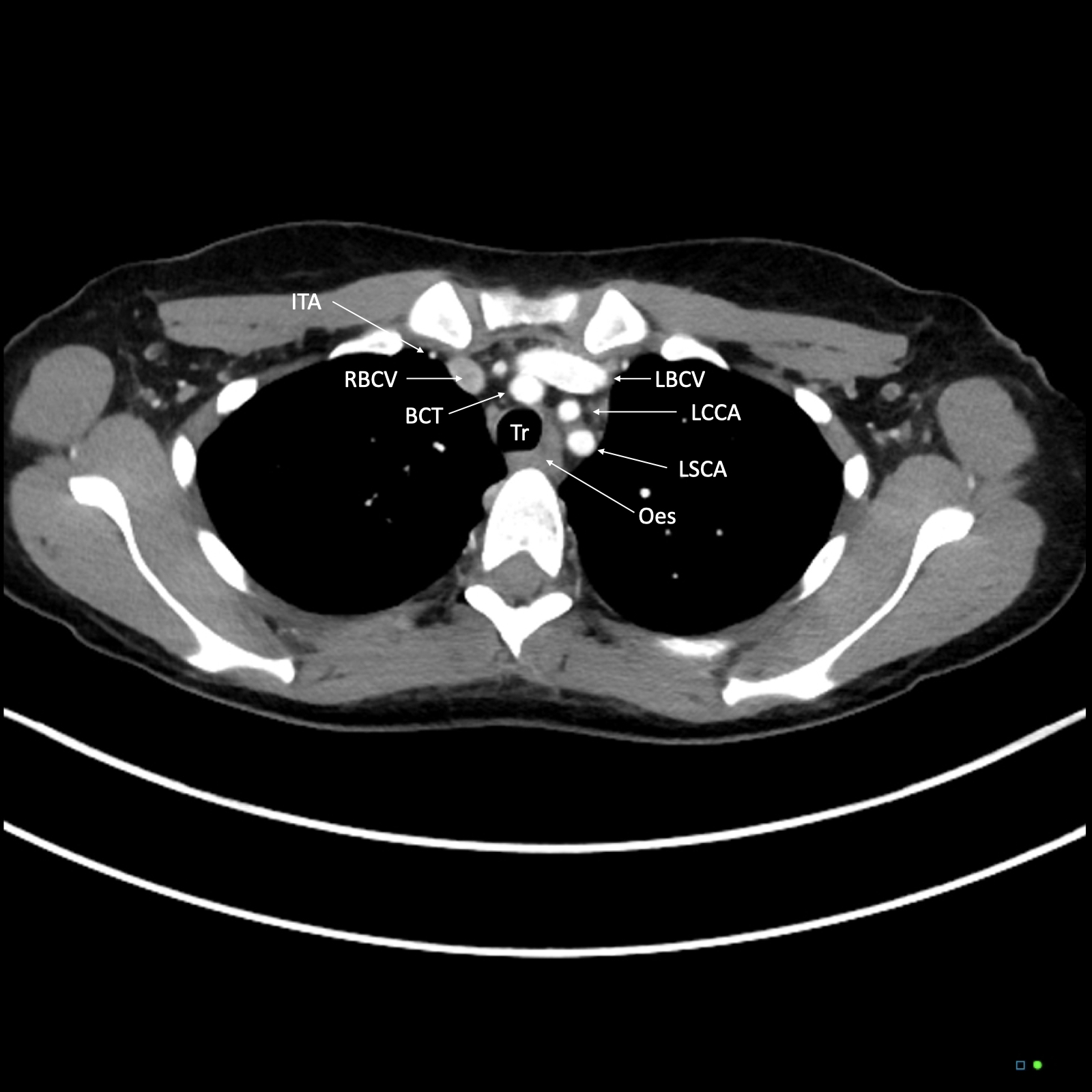 Imaging for Students