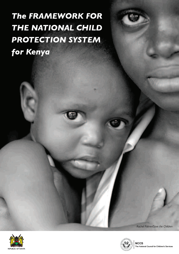 The Framework for the National Child Protection System