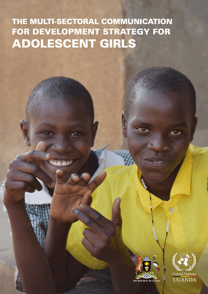 The Multi Sectoral Communication for Development Strategy for ...